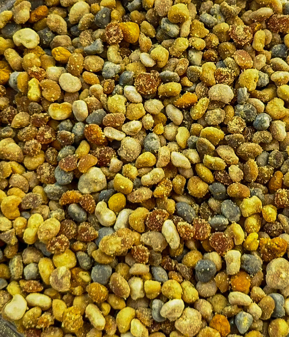 Local Wildflower Pollen – Flower of Carolina